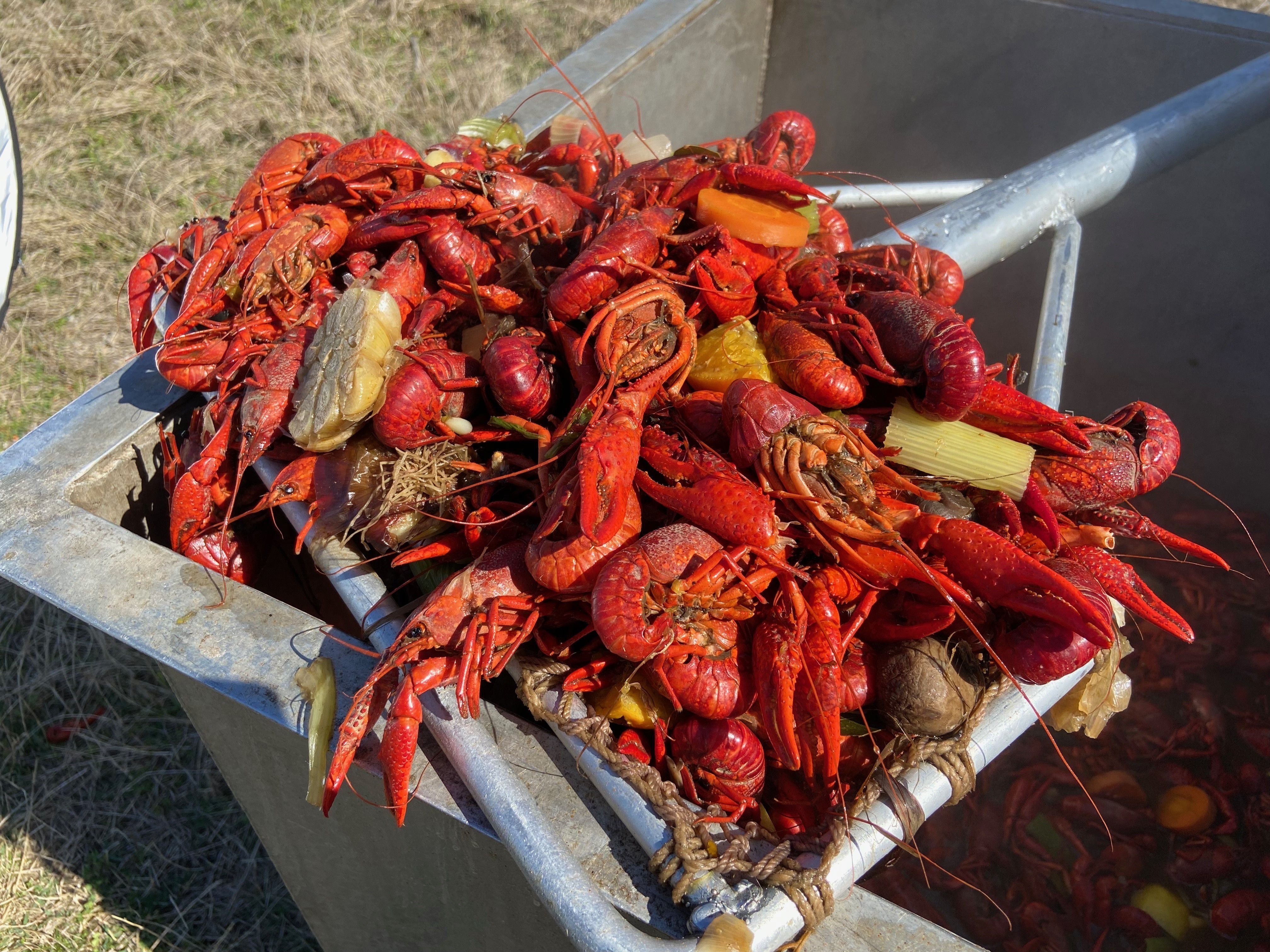 Crawfish Boil Tattoos Low Country Boil Image 68: Oklahoma Sooners